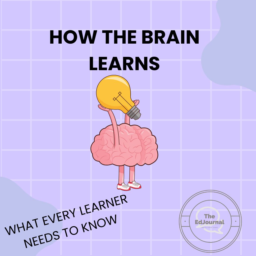 How the Brain Learns: What Every Student Should Know – TheEdJournal